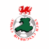 JD Cymru Premier 2023/2024 :: Welsh Premier League Wales Football ...