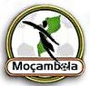 Liga Moçambique 2024 :: Moçambola Mozambique Football [Seniors] :: Subs ...